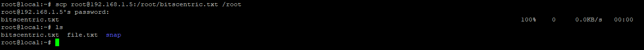 How to Transfer Files (Local and Remote) in Linux - Bitscentric